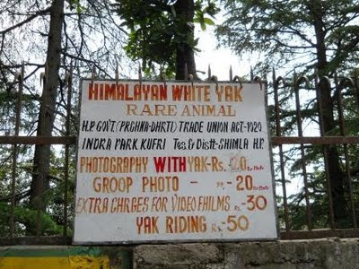 Sign Boards - Vivek Patwardhan